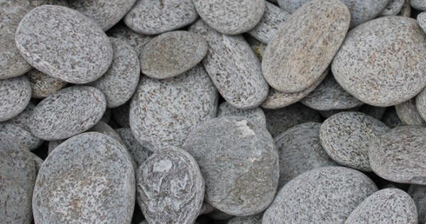 Westland Flat Stones Small (25-70mm) - Cubic Metre